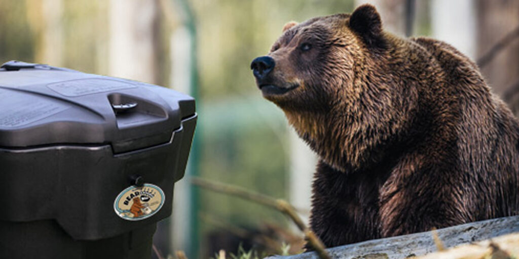Bear Proof and Bear Resistant Trash Cans – Protecting your home and ...